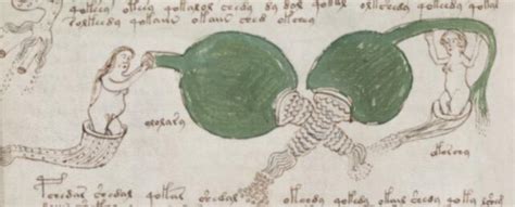 Voynich Manuscript Finally Decoded Medieval Sex Secrets May Hide In