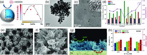 A Schematic Diagram Of Co2 Reduction Process On Au Sn Nanoparticle