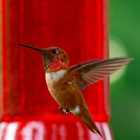 Darryl Larson Darryllarsonproductions • Instagram Photos And Videos