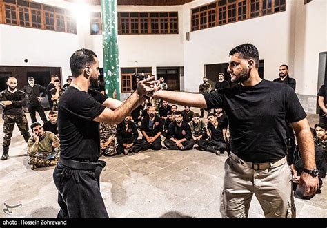 همشهری آنلاین تصاویر خاص تمرینات تیم یگان تکاوران نحوه بقاء در طبیعت و زندگی در شرایط سخت جنگلی