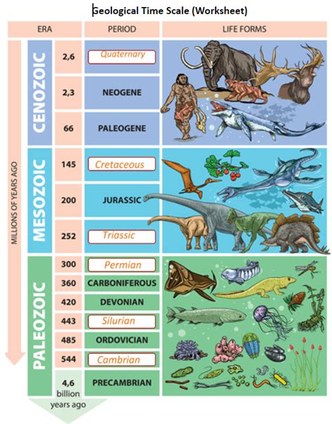 Ch Geologic Time Scale Th Th Grade Quiz Quizizz