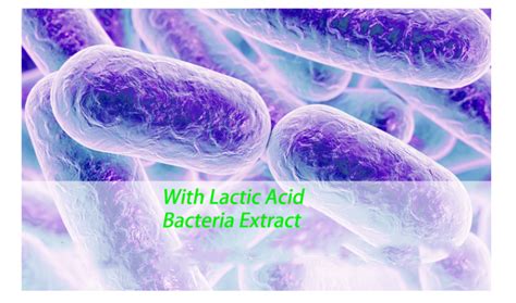 Hot Hydrating Lactobacillus Lactic Acid Bacteria Moisturizing Facial