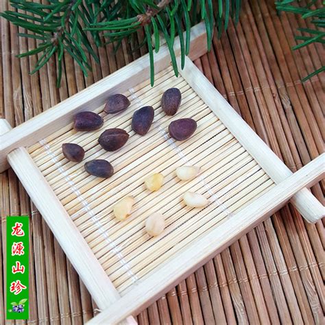 东北野生马尾松松子 大兴安岭野生偃松子 生松子小松子松鼠粮500g 阿里巴巴