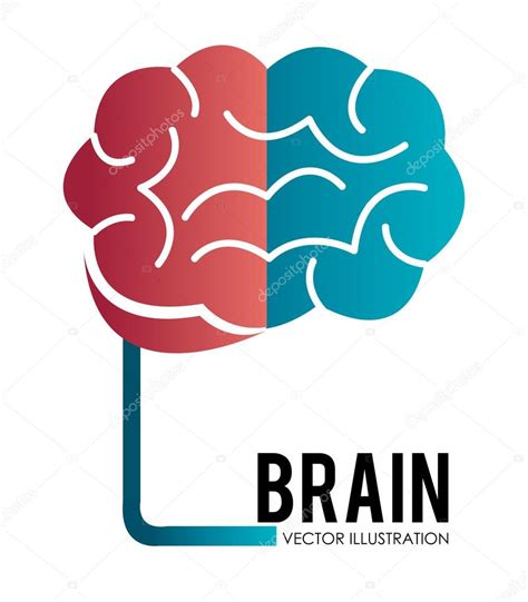 Brain Design Vector Illustration Stock Vector By ©yupiramos 64315279 Brain Design Vector Illustration Stock Vector By ©yupiramos 64315279