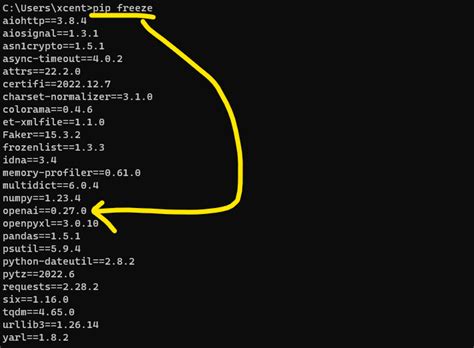 7 Best Ways To Check The OpenAI Package Version In Python Be On The