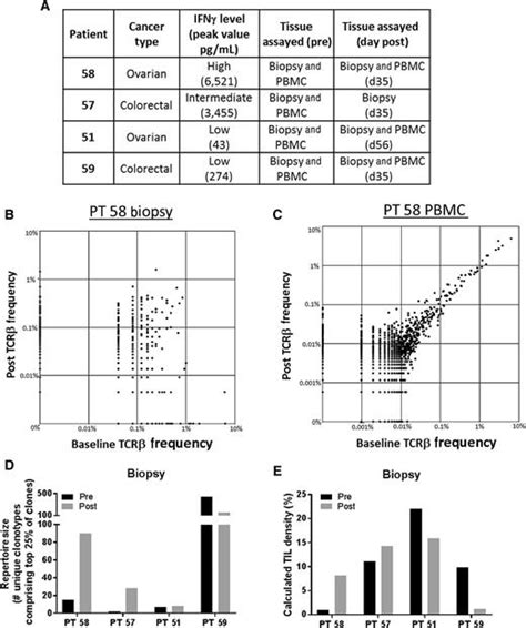 First In Human Phase I Trial Of A Tumor Targeted Cytokine Nhs Il12 In Subjects With Metastatic