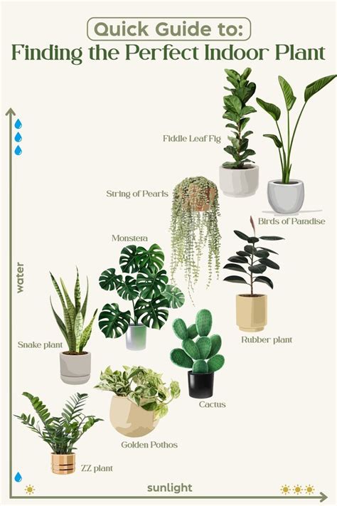 Indoor Plants Names Artofit