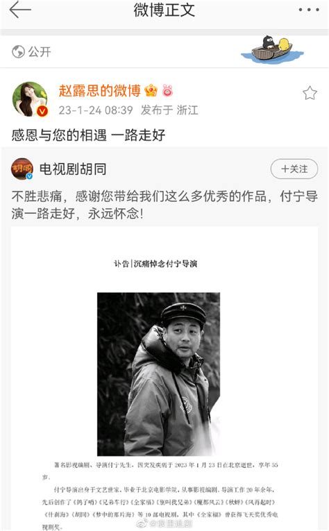 导演付宁去世 肖战赵露思任嘉伦等发文悼念 新浪图片