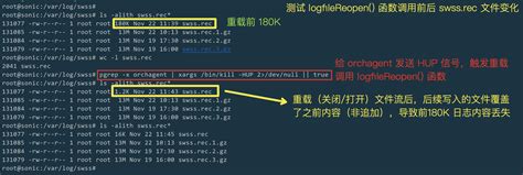 sonic201911 丢失 swss rec 历史日志问题及修复 haoleeson s notes