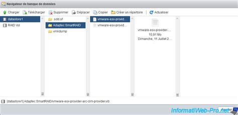 Manage An Adaptec Smartraid Controller On Vmware Esxi 67 From Adaptec Maxview Storage Manager
