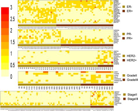 The Deleterious Mutation Scores For The Differentially Mutated Genes Download Scientific