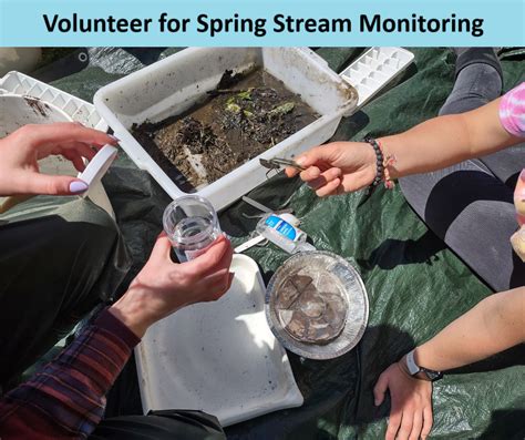2025 Spring Stream Monitoring Identification Mi Water Stewardship