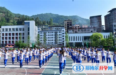 宣汉县土黄中学2025年学费收费多少