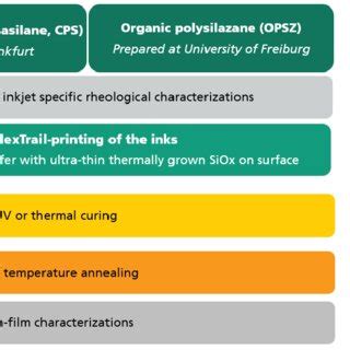Process Sequence And Schematic Visualization Of Sample Preparation For Download Scientific