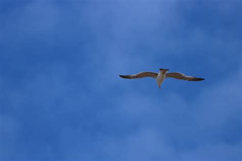 Cassandra Borg Muscat การถ่ายภาพ