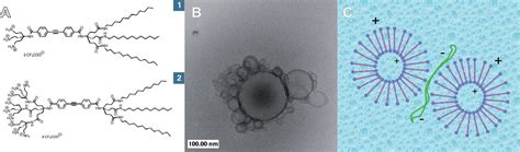 Icnt2006 Self Assembling Dendrimers For Gene Transfection 2006