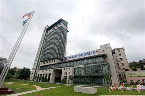 白云名品家中这些常备药品原来都出自白云