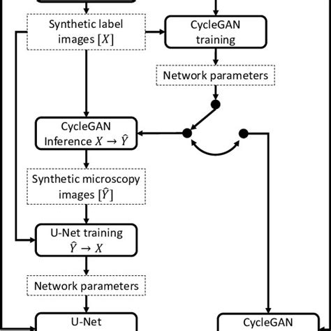 Segmentation Pipeline Utilizing A Cyclegan The Cyclegan Can Directly