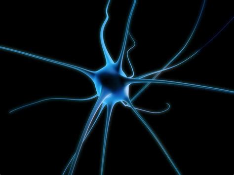 Linear Predictors — The Perceptron From Theory To Algorithms R