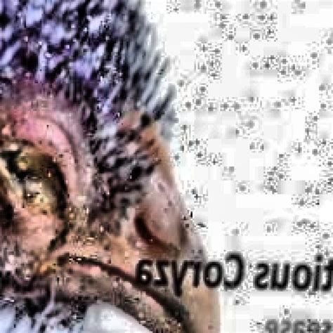 Poultry Disease Detection Classification Model By Cleigh