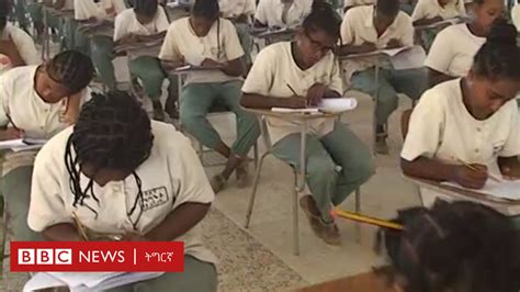 ኤርትራ፡ ኣብ ሃገራዊ መልቀቒ ፈተና ካልኣይ ደረጃ 29 ሚእታዊት ንዲግሪን ዲፕሎማን ሓሊፎም Bbc News ትግርኛ