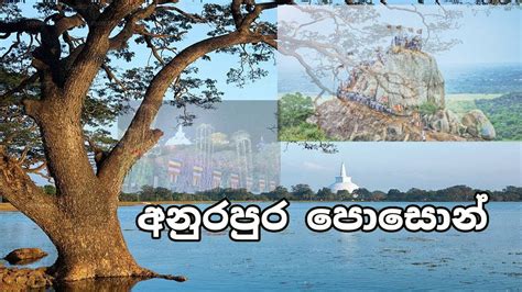 Anurapura Poson Youtube