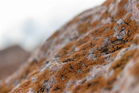 Plongée Dans Le Logarithme Népérien Comprendre Son Importance Et Ses