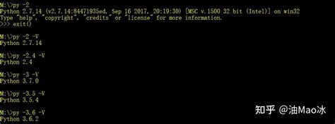 讲讲 Python Launcher 是什么鬼东西 知乎