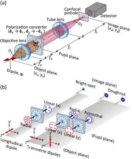 Schematic Diagram Of Confocal Detection With Polarization Conversion
