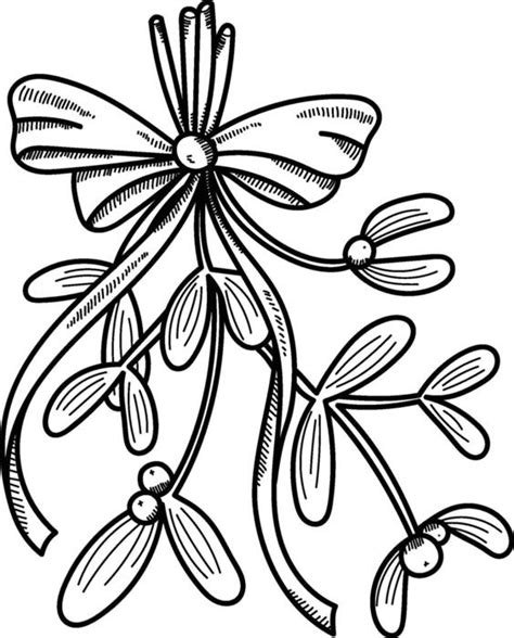 Mistletoe Outline Vector Art Icons And Graphics For Free Download