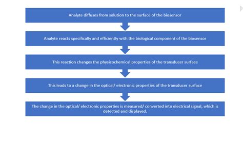 Introduction To Biosensors Pioneering The Future Of Analytical Technology Bio Help Learning