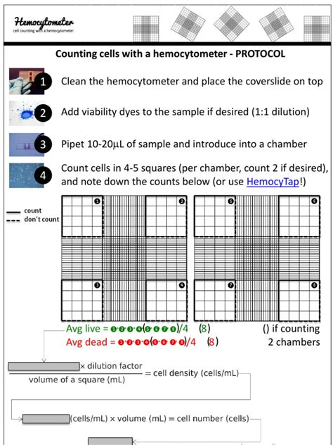 Hemocytometer Protocol Laboratories Chemistry