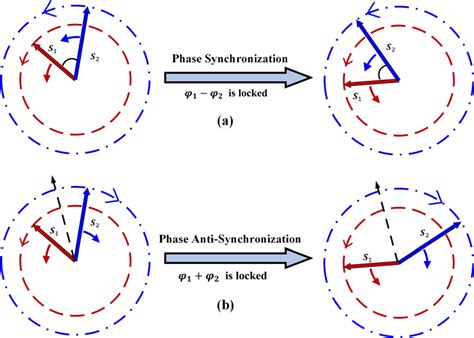 The Demonstration Of Traces Of The Phase Synchronization In A And Download Scientific Diagram
