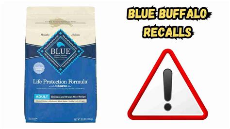 How Many Recalls Has Blue Buffalo Had Find Out Now