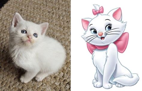 10 Cats That Look Just Like Disney Characters