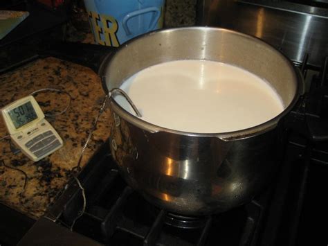 Homemade Creamy Yogurt Afghan Style — Blog Afghan Culture Unveiled