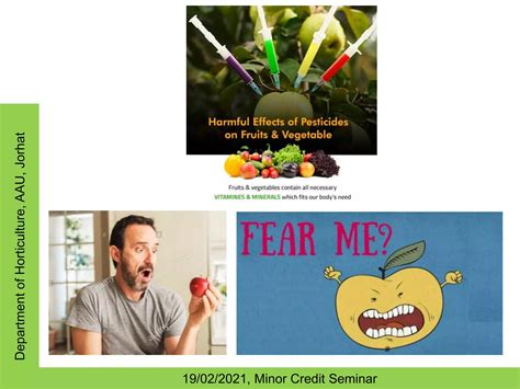 Microbial Seed Coating Pptx