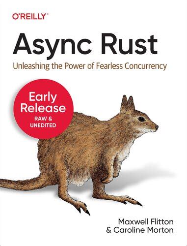 Async Rust Pdfepub Version Controses Store