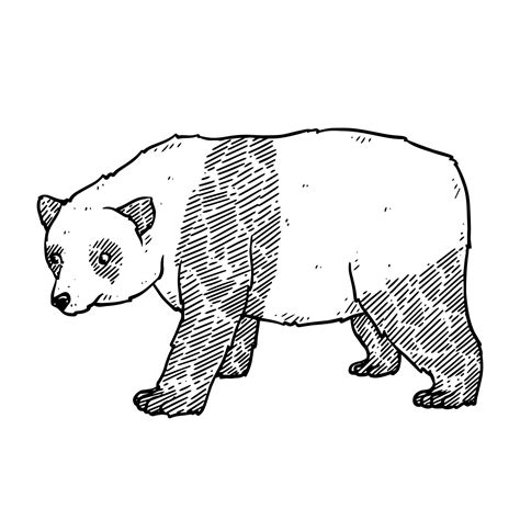 panda dibujado a mano en boceto estilo garabato vector premium