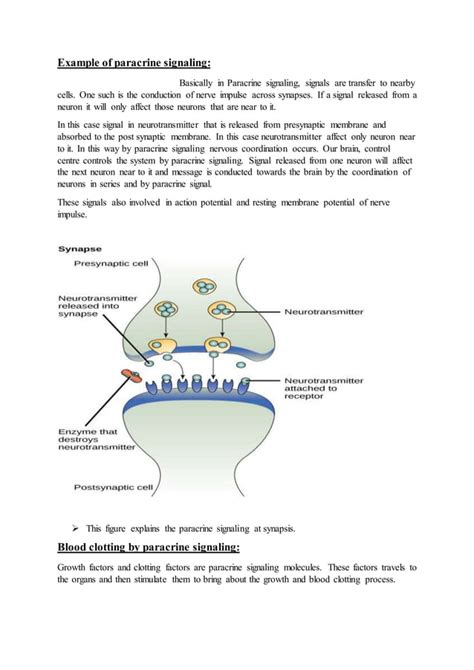 Cell Signaling Pathways Docx
