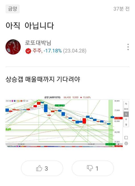 주간 개미 금양 2차전지주 재상승 이끌까