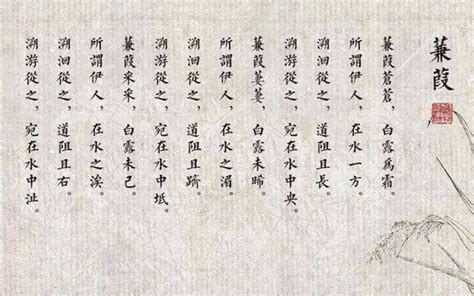 蒹葭怎么读全文拼音 蒹葭的意思是什么 蒹葭原文翻译及赏析 学习力
