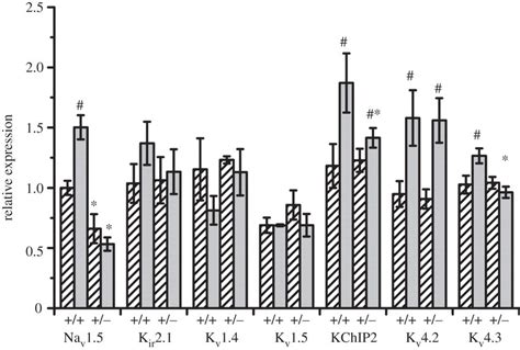 Mrna Expression Patterns Graph Of Mrna Expression In Na⁺ And K