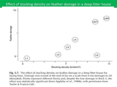 Behaviour Patterns In Poultry Ppt