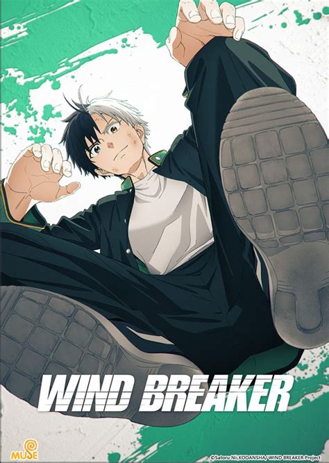 Wind Breaker Character Design Concept Art Characters Anime