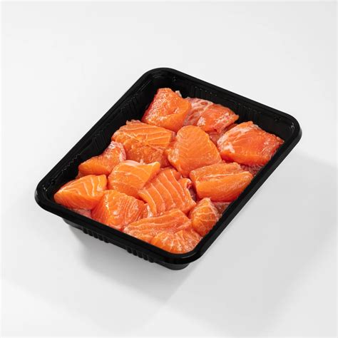 قزل سالمون کبابیفرانسوی رهنما فیش