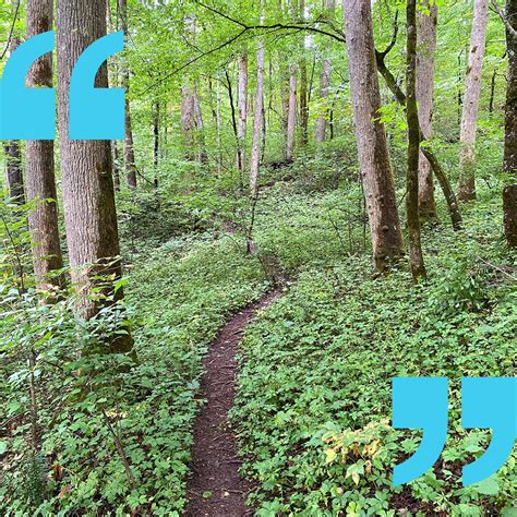 Hambidge Hambidgecenter Hambidgefellow Artistresidency Writersresidency Creativeresidency