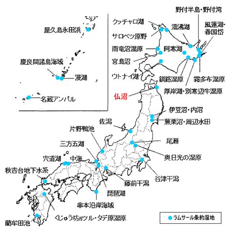 トピックスイベント情報