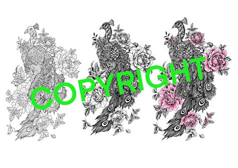 Peacock Tattoo Design For Woman On Hip Back Shoulder Tattoo Flash Custom Tattoo Design Instant