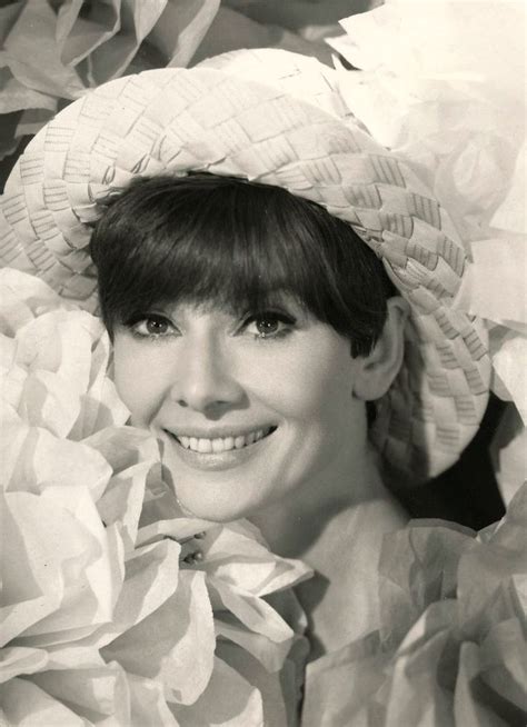 Audrey Hepburn Photos Audrey Hepburn Hepburn